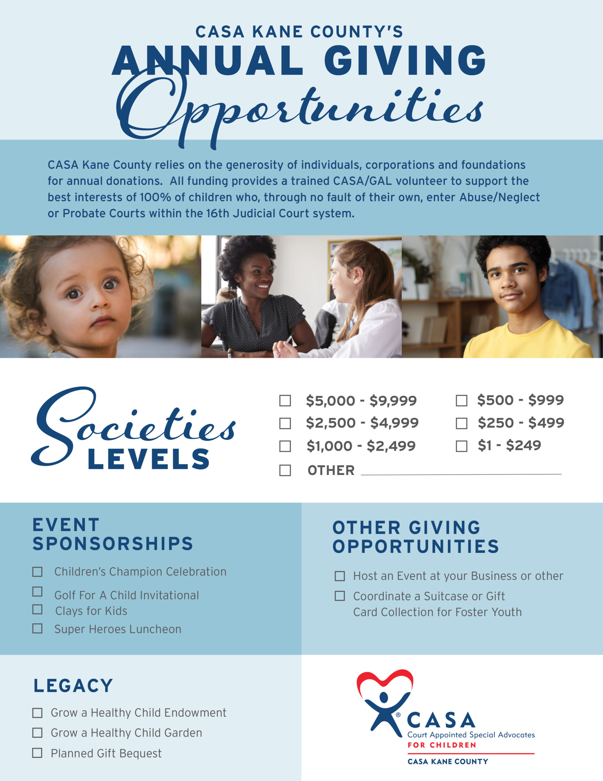 How To Give - CASA Kane County Website